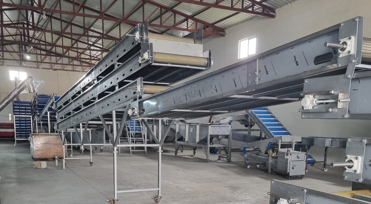 Potato Processing Line Machine Manufacturing - CEMNAZ Industrial Machinery
